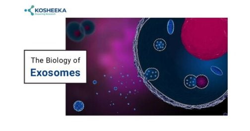 The Biology of Exosomes - Kosheeka